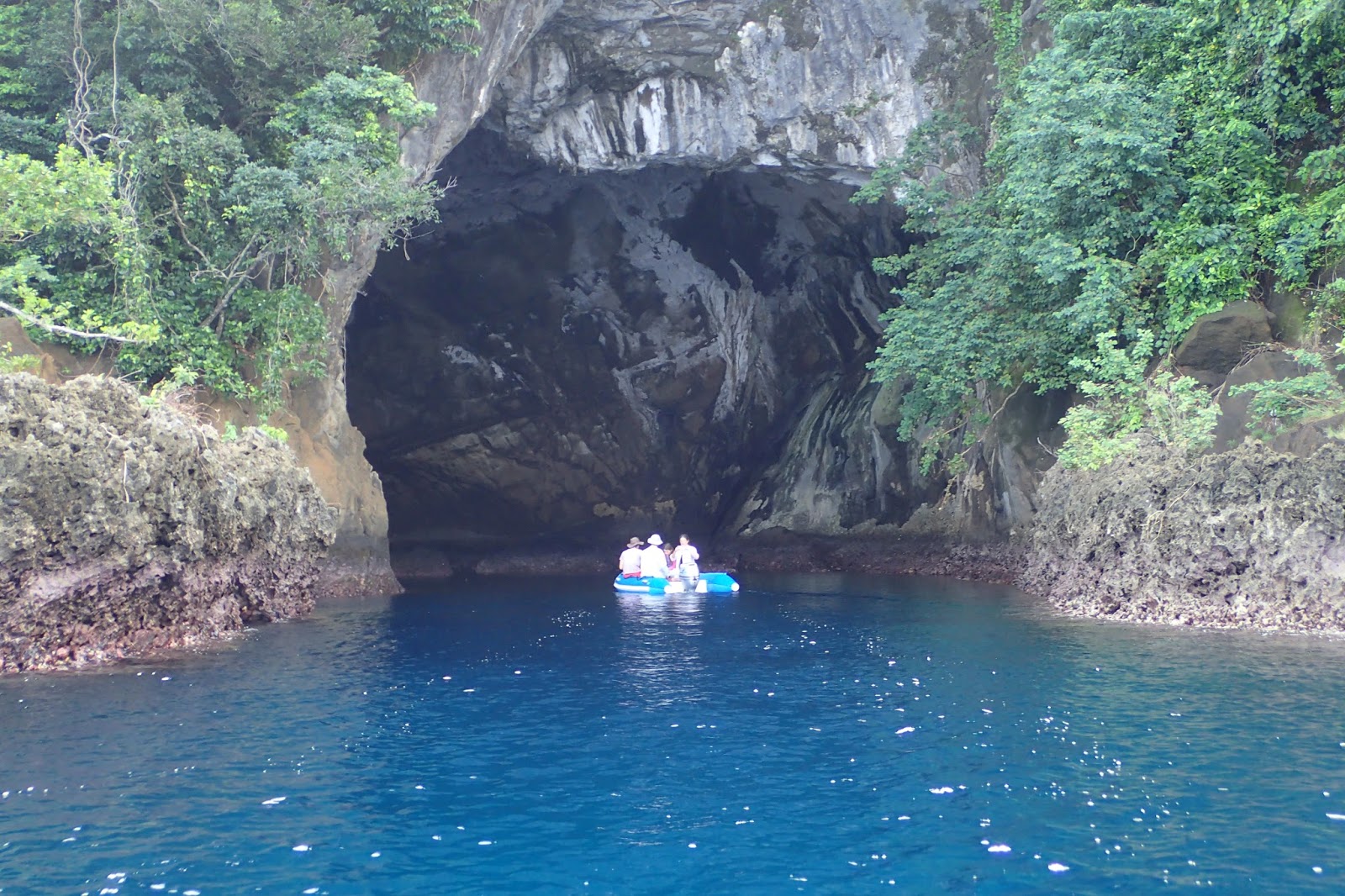 SV FLUENTA : Maewo and Honey - In Pictures