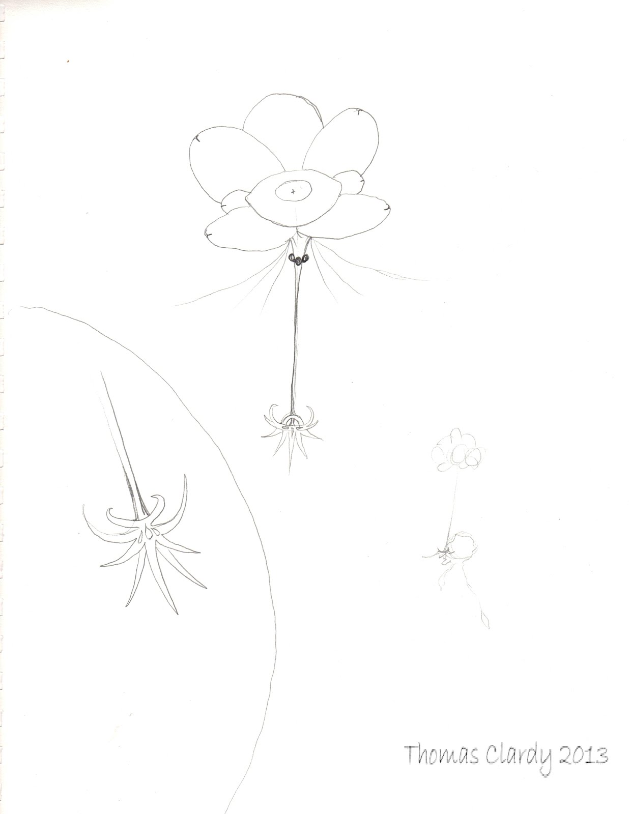 Heaven and Earth: The Aten-Ra Star System (and Giza Nebula) (Life of ...