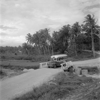 Blog To Express: Memories of Pasir Ris Park