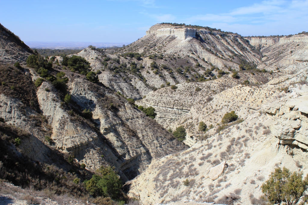 NATURALEZA HUESCA EN ACCION: Salida naturalista por el barranco del Bujal