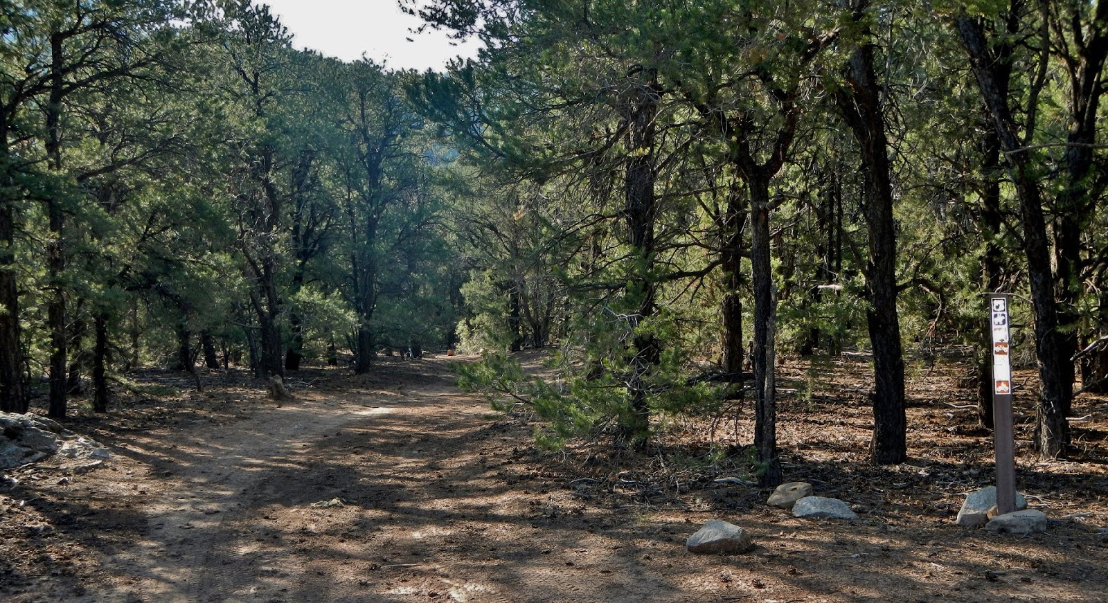 The Southwest Through Wide Brown Eyes: The Much Awaited Shay Ridge/Shay ...
