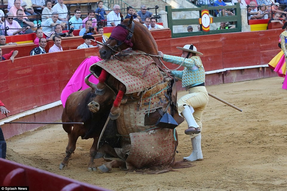 Four legged friends (and enemies): Heartbreaking: Shocking moment ...