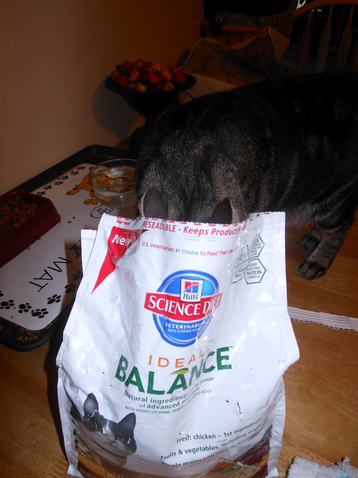 Check it Out! with Dawn: Product Review: Hill's Science Diet Ideal ...