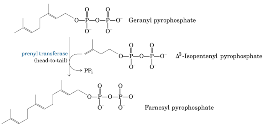 Bioquímica: abril 2012