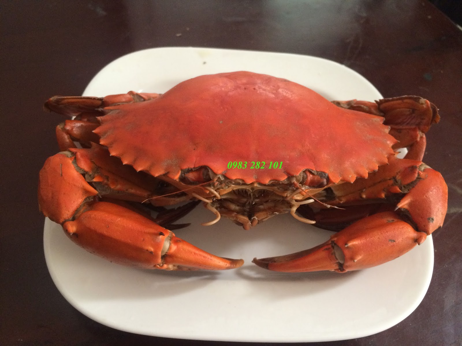 Cua Biển Cà Mau: Cách Chọn Cua Biển Ngon