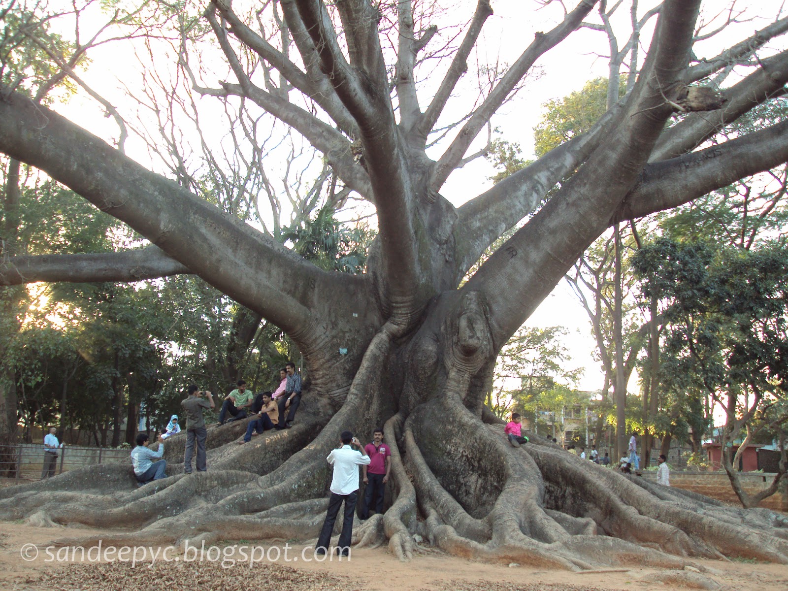 Karnataka Travelogue, blended with Photologue-Travelogue-Infologue: The ...