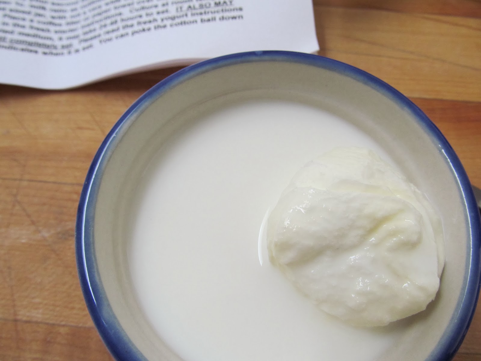 Adventures of a Whole Wheat Pastafarian: Cultural Journey - Kombucha ...