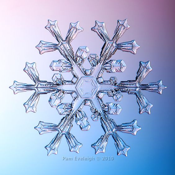 Heraldry of Life: ART with REAL SNOWFLAKES