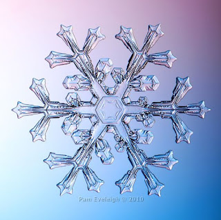 Heraldry of Life: ART with REAL SNOWFLAKES