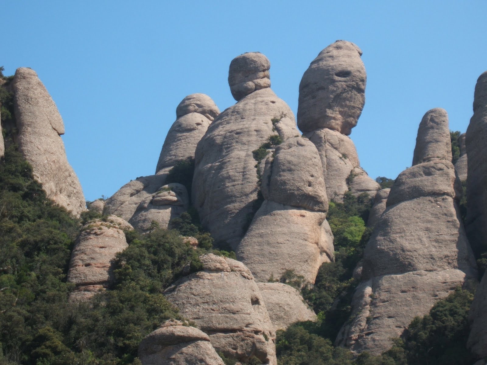 Romàntic Guerrer: La Josep Rigol a la Monja i l'Esperó Llebeig al Bisbe.