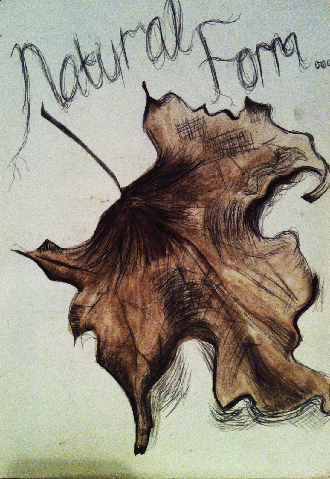 Everything: Art GCSE natural form