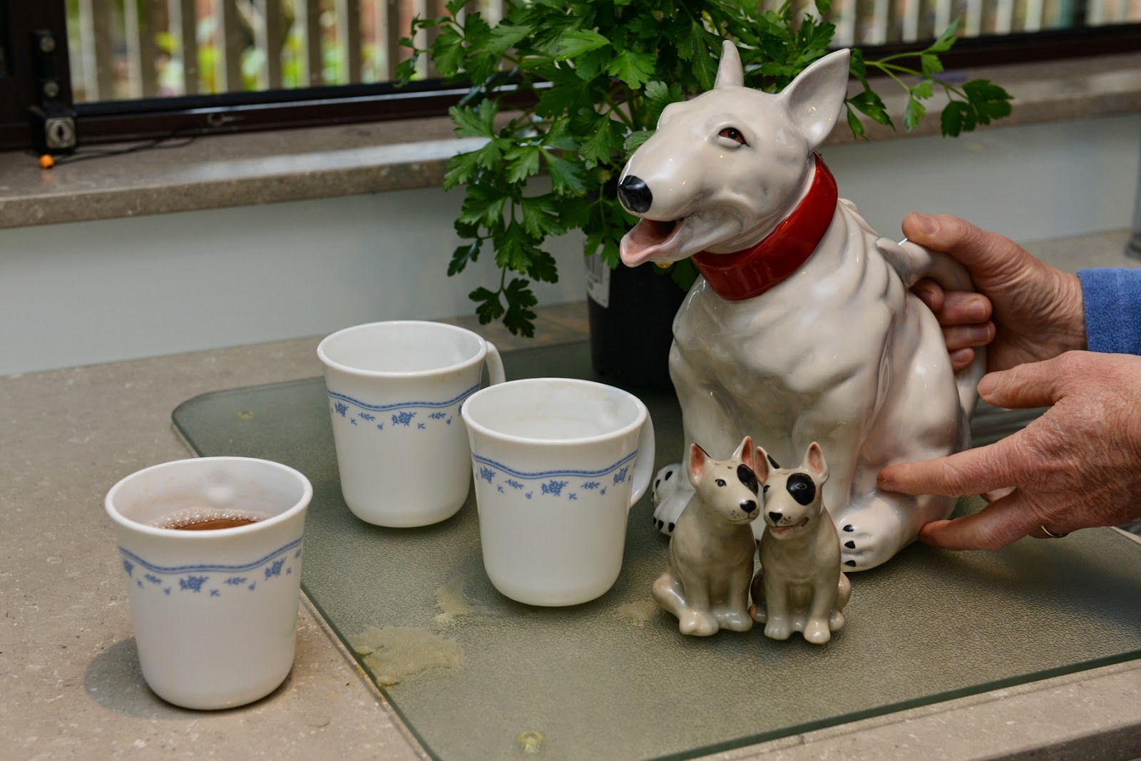 Small Animal Talk: Date with your dog: the best cup of tea, RSPCA ...