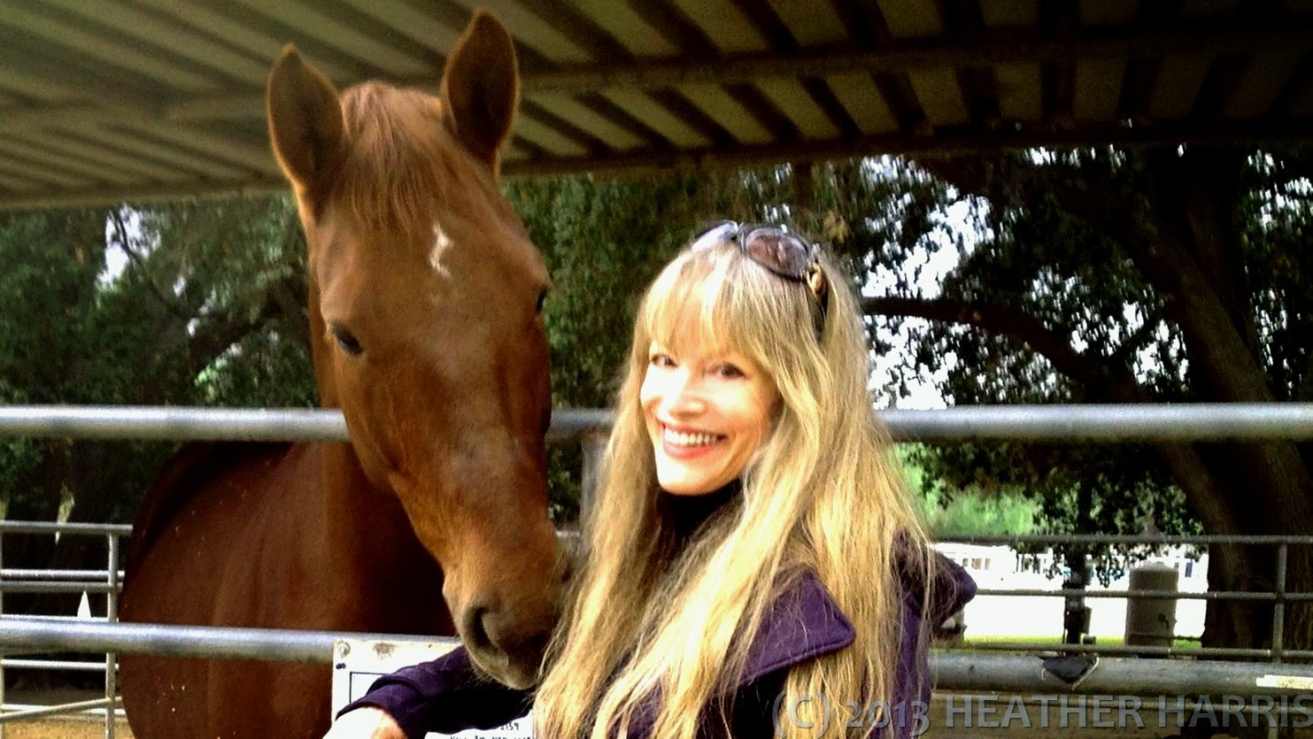 Fast Film: MAMA LION LYNN CAREY singer, actress, Pantherinaephile UPDATE