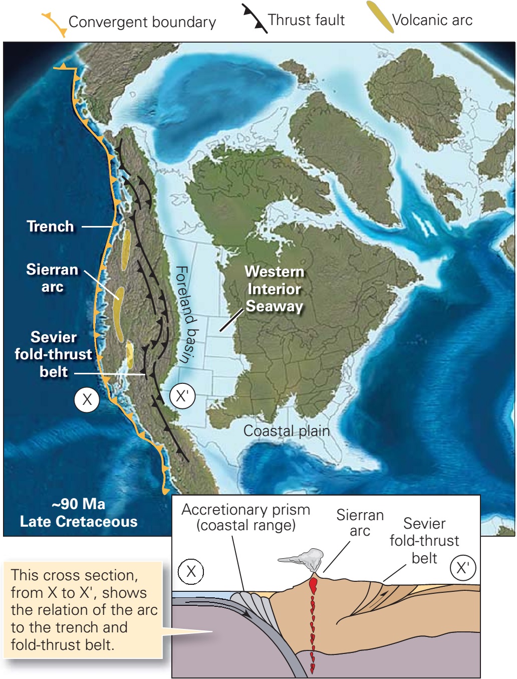 Mesozoic Era Geology Climate Lifeforms Britannica