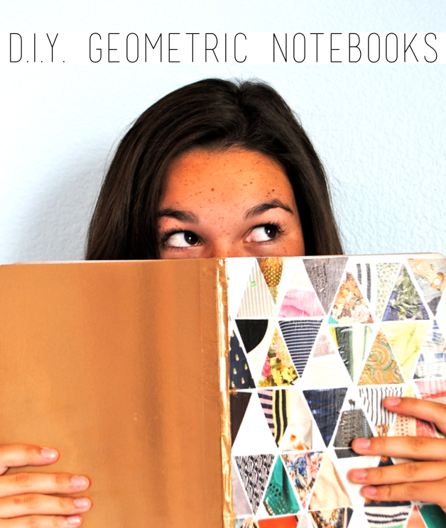 Generalized Loveliness ★: Geometric Notebooks {make them yourself}