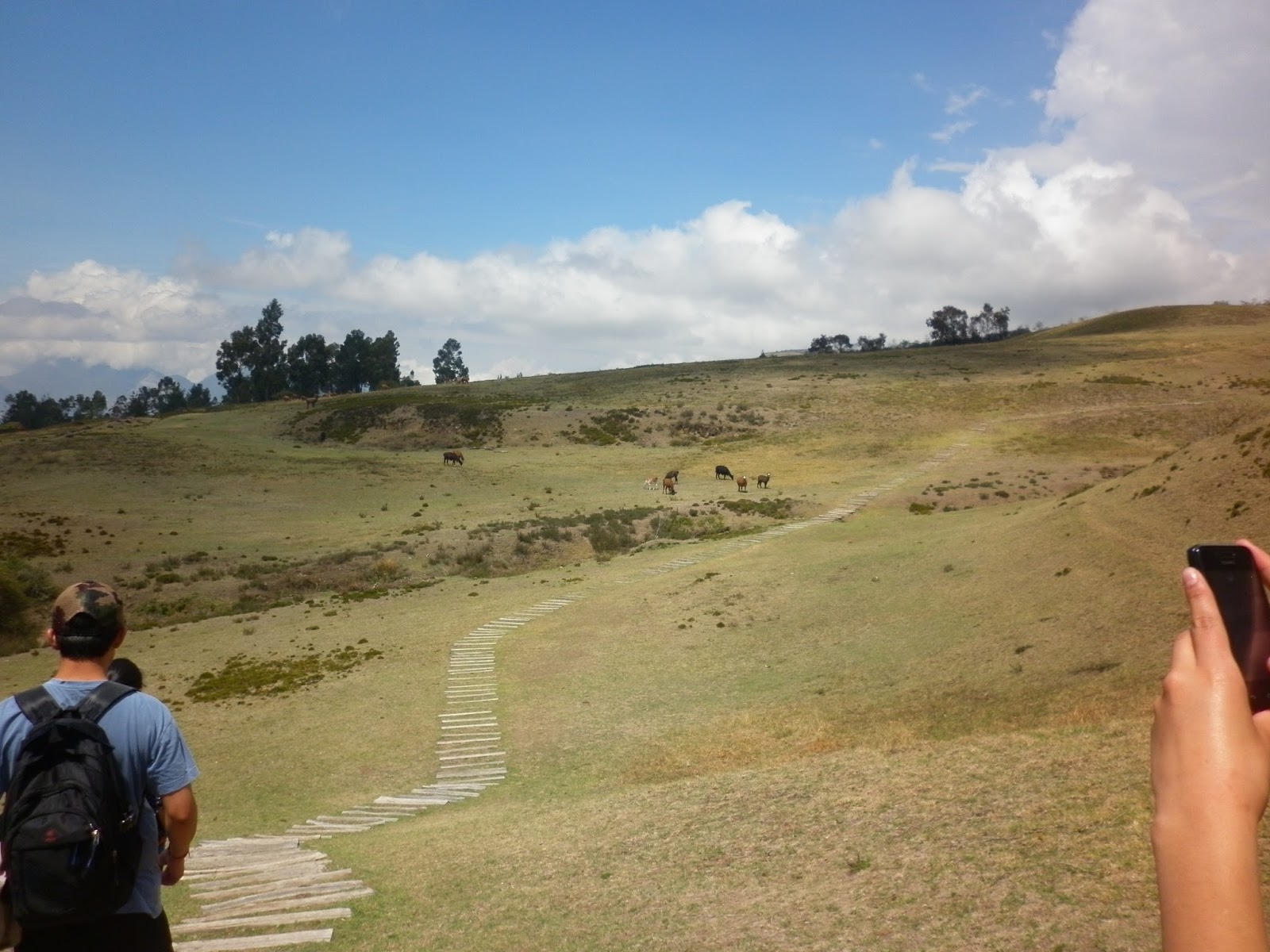 Parque Arqueológico Cochasquí: enero 2016