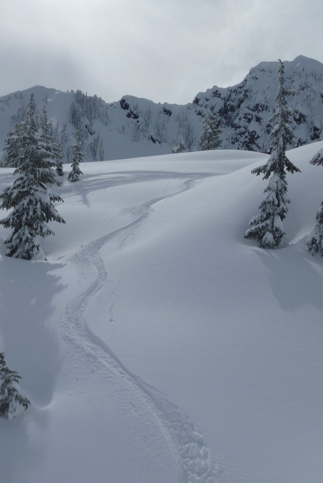 Cold Thistle: The DPS 138 and Dynafit's Carbon Green Machine ZZero4