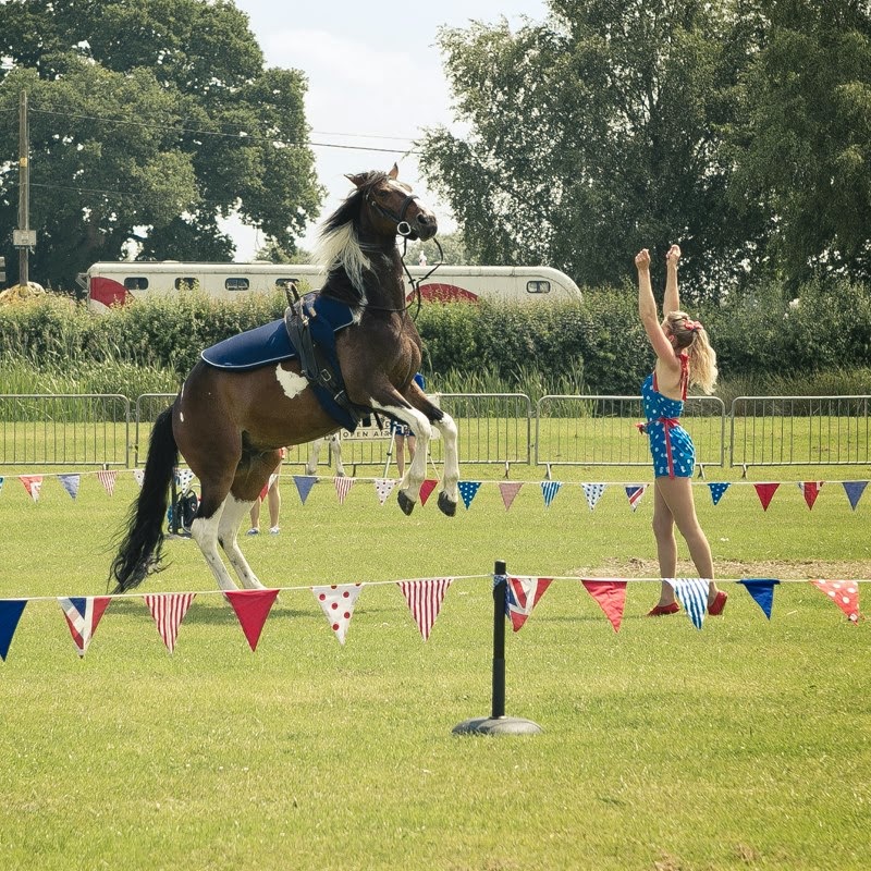 Galloping Acrobatics: Small Holders Show