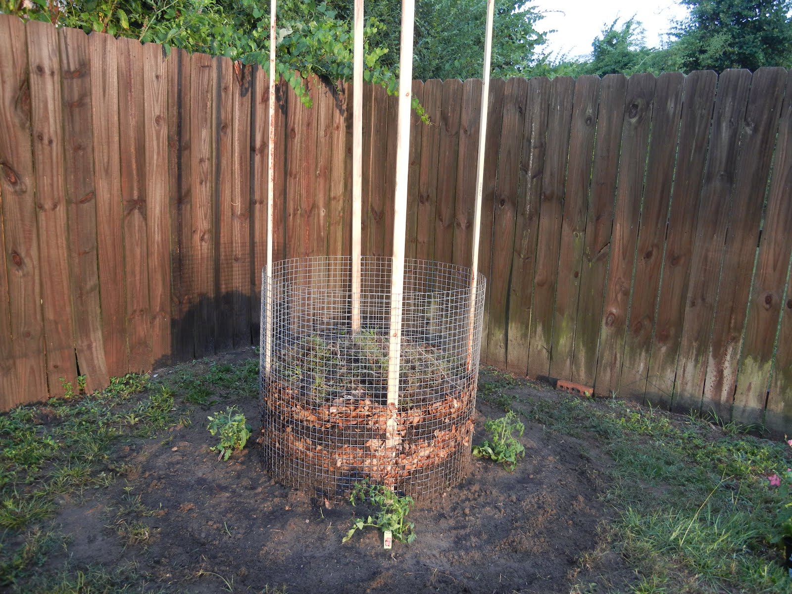 Following Christ...: Japanese Tomato Ring