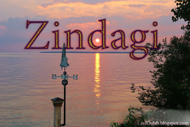 Zindagi Name Wallpapers Zindagi ~ Name Wallpaper Urdu Name Meaning Name ...
