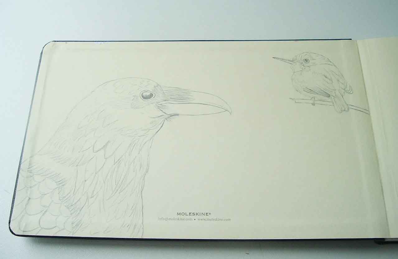 Milycha's Art Blog: Work in Progress : My Birds Journal Cover