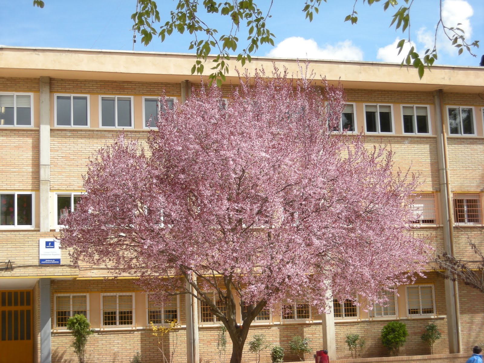 Mi Blog de Centro: Nuestro Colegio