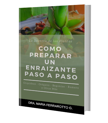 La Doctora De Las Plantas