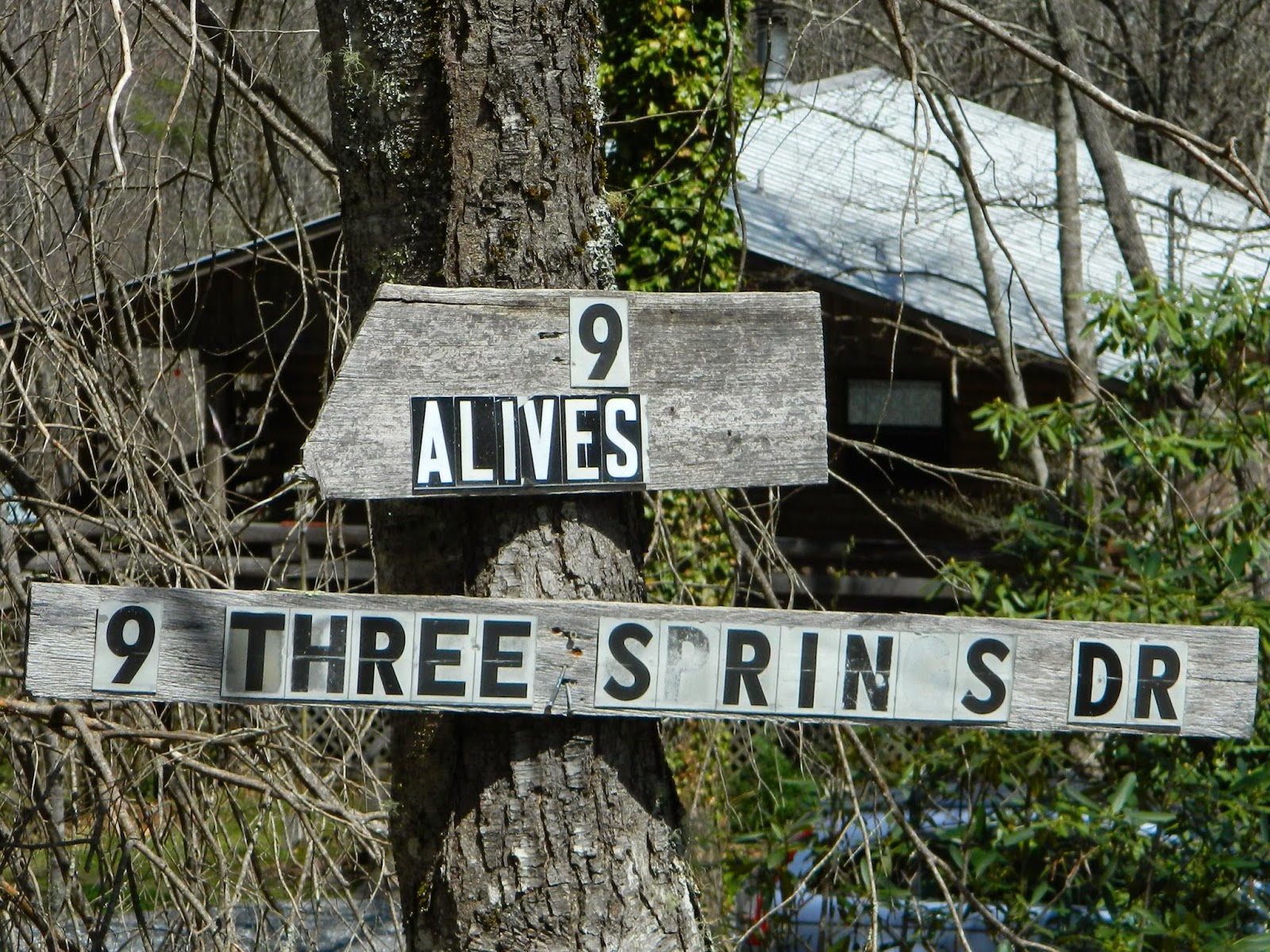 Lise's Log Cabin Life: Our Rustic Address Sign