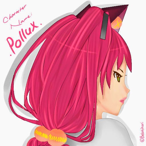 ~Hika Hikarin blog~: pollux character