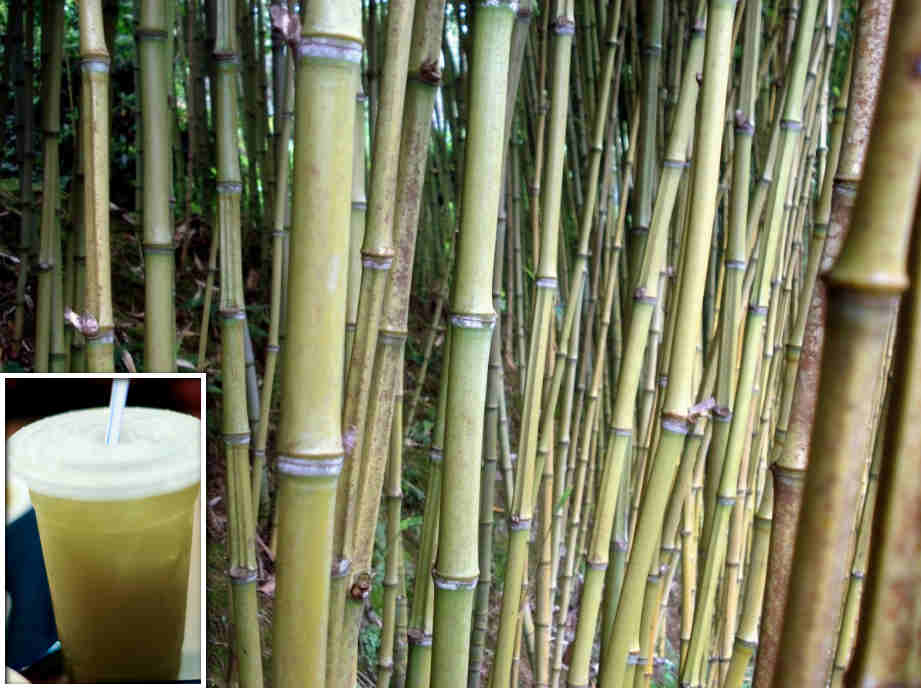 Ini Dia Manfaat Air Tebu Bagi Kesehatan Yang Jarang Diketahui - WADAHTEKNO