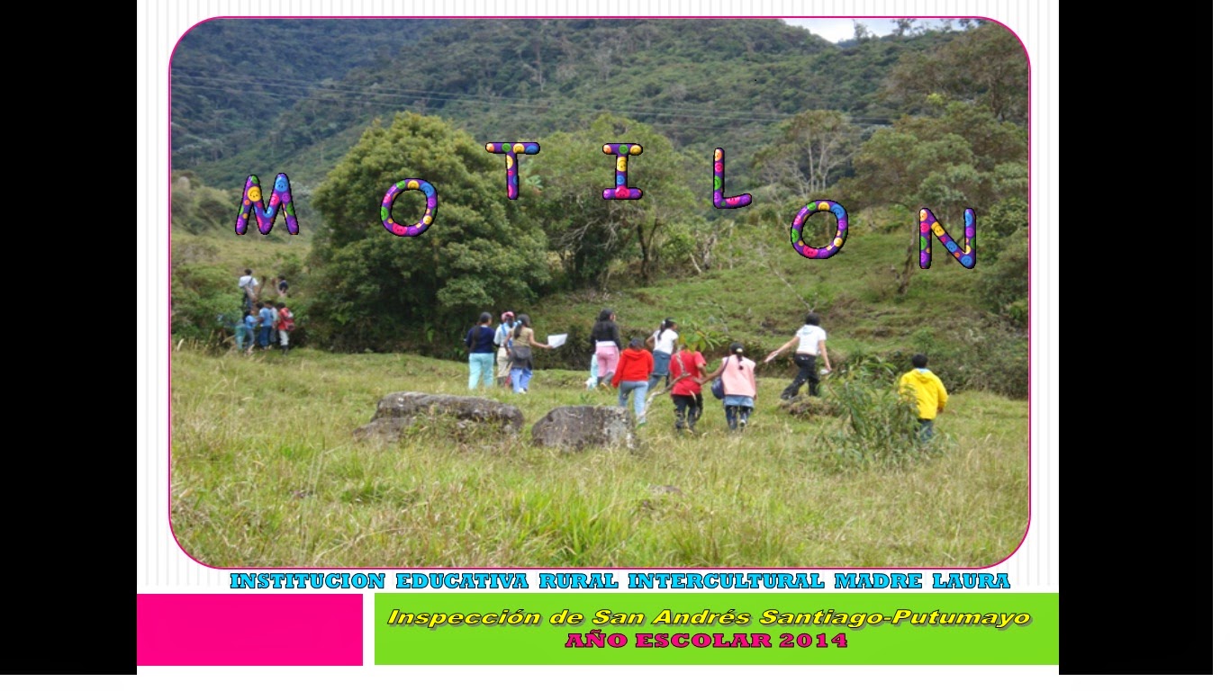 PRODUCTOS Y UTILIDADES DEL MOTILON