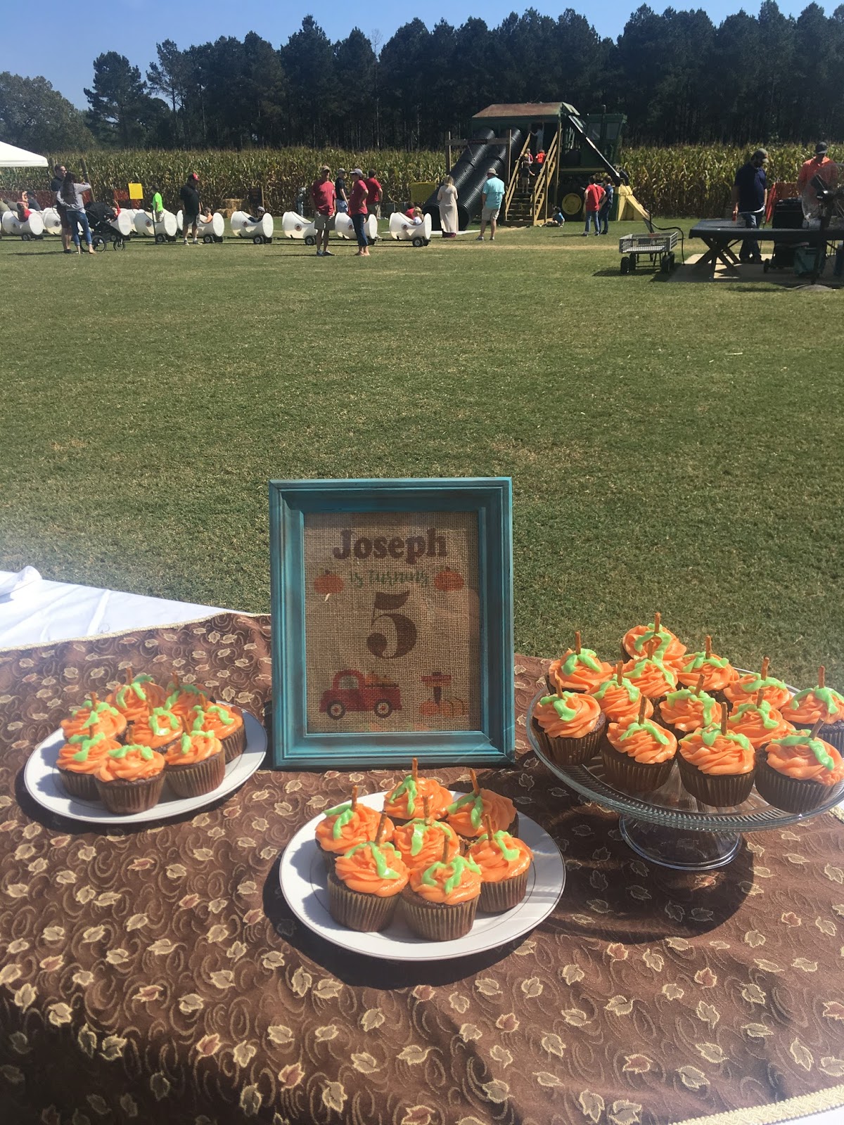Host a Pumpkin Patch Party — The Southern Glamper