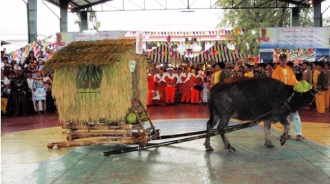 Marinduque Rising: Mesmerizing Mogpog