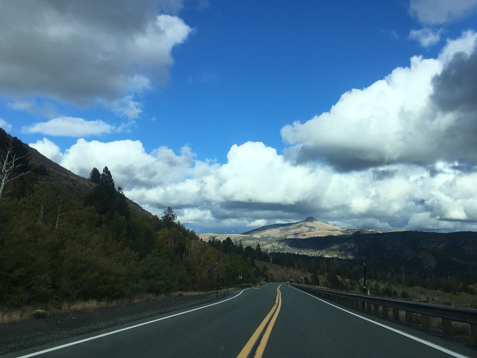 California State Route 88 the Carson Pass Highway