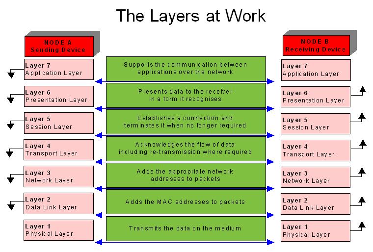Networking(DCCN): OSI Reference Model