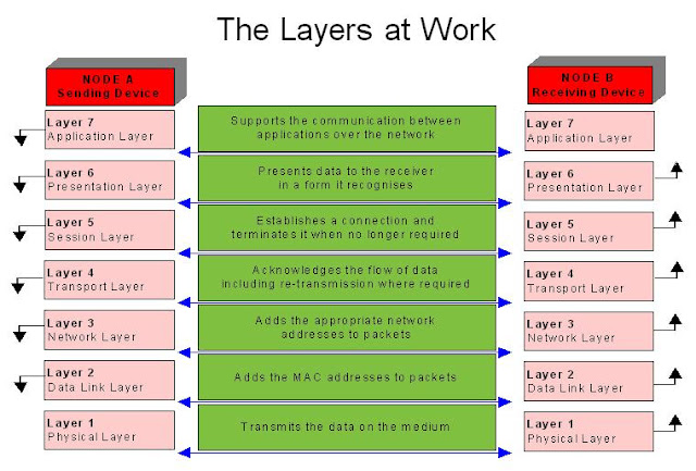 Networking(DCCN): OSI Reference Model