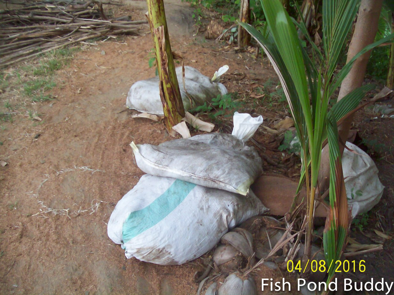 Fish Pond Buddy: Monitoring A Bangus (Milkfish) Pond