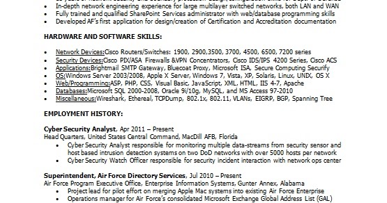 Hardware and Software Skills Sample Resume Format in Word Free Download