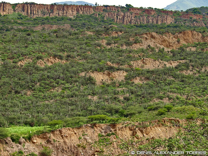 VISION TORRES - IMAGENES DE NUESTRO MUNDO: LOS VALLES SECOS DE MÉRIDA ...