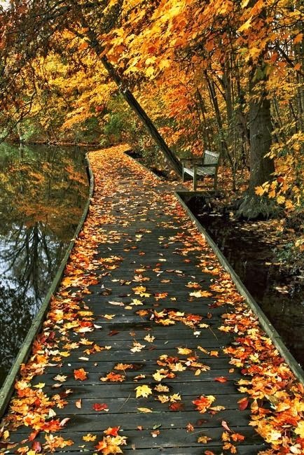 FOCAL POINT STYLING: OUTDOOR LIVING FOR FALL