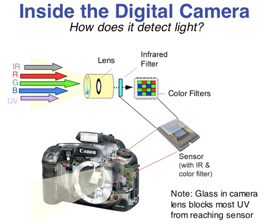How Digital Camera Works - Child Science