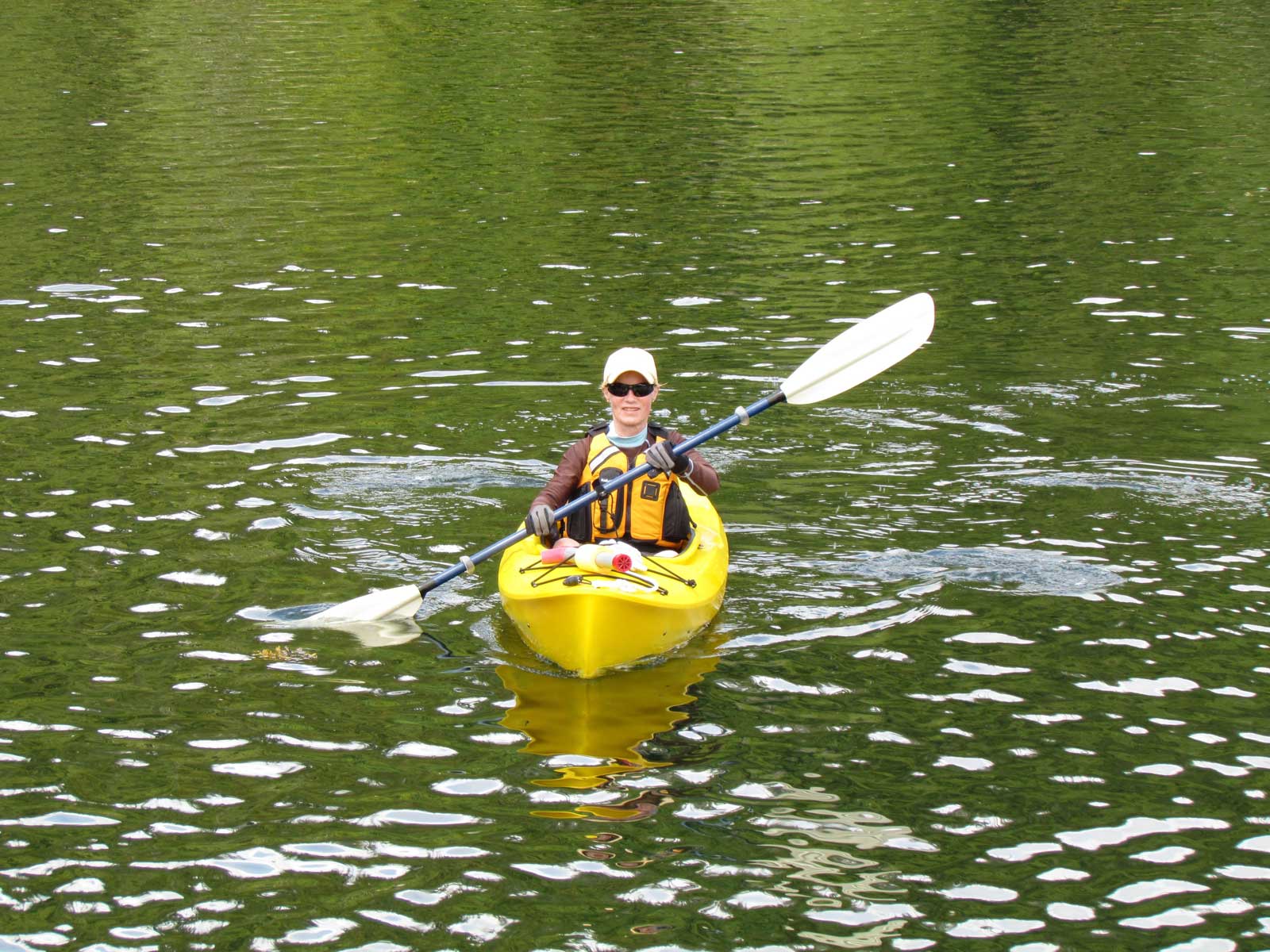 Cruising with Phoenix: Jennis Bay to Port McNeill