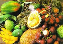 MALAYSIA BEST LOCAL FRUITS