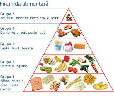 AMG: Nutritie si dietetică , C5 PIRAMIDA ALIMENTARĂ
