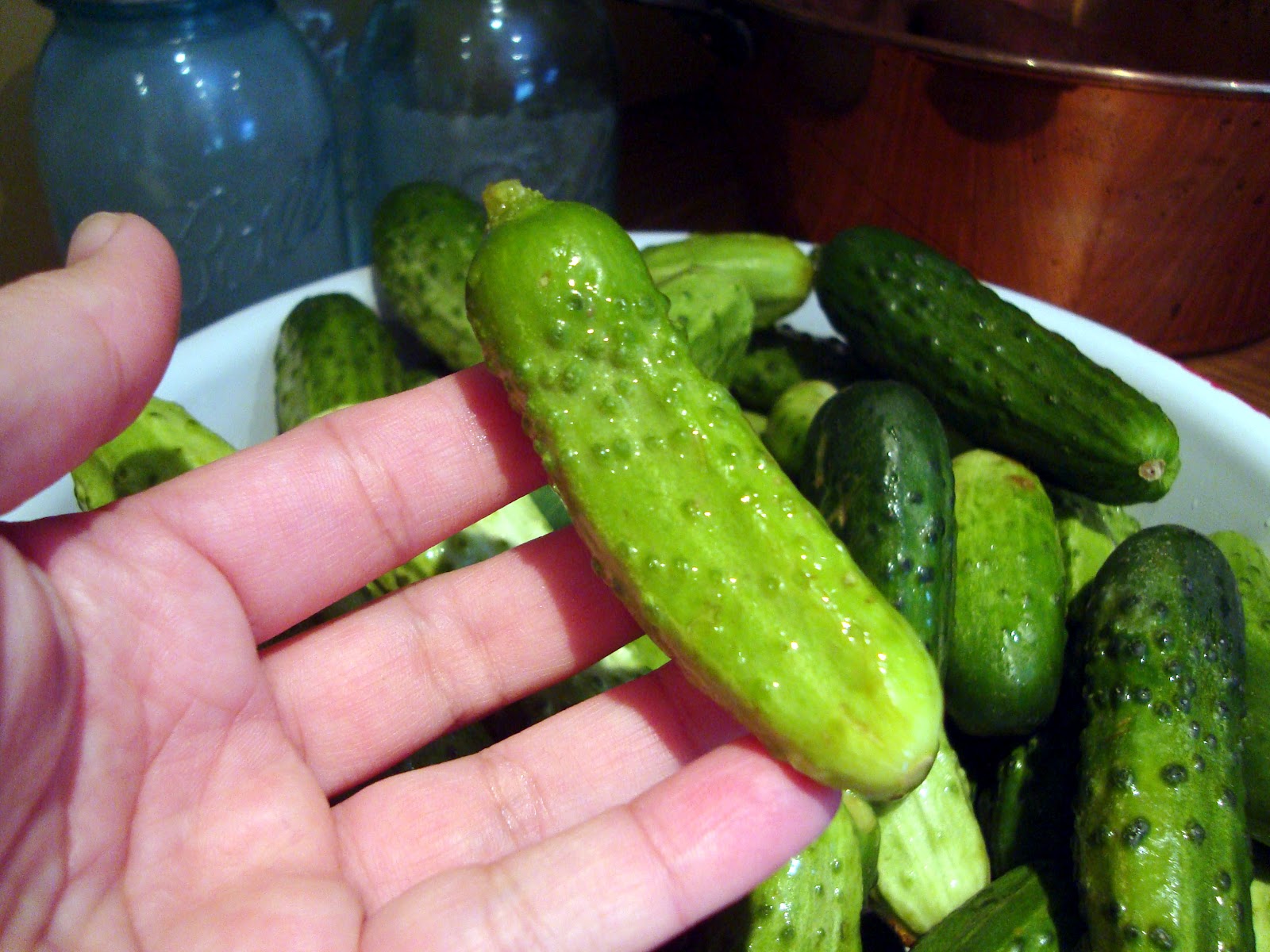 Headspace: Two Days of Pickles: Part 1