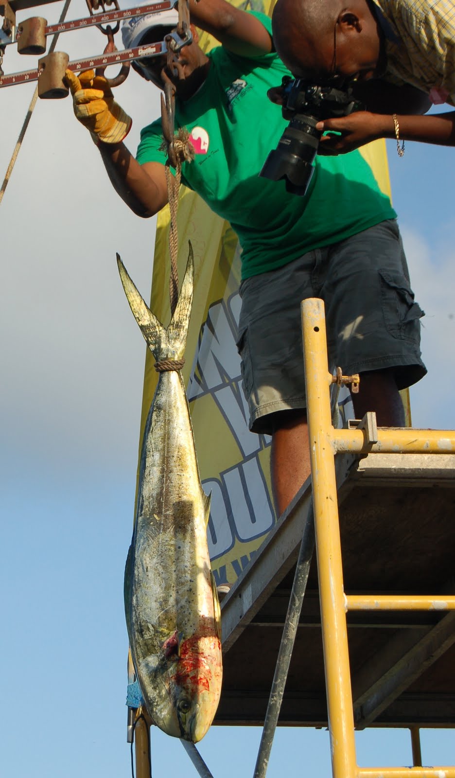 Horizon Yacht Charters Antigua: To fish, or not to fish, that is the ...