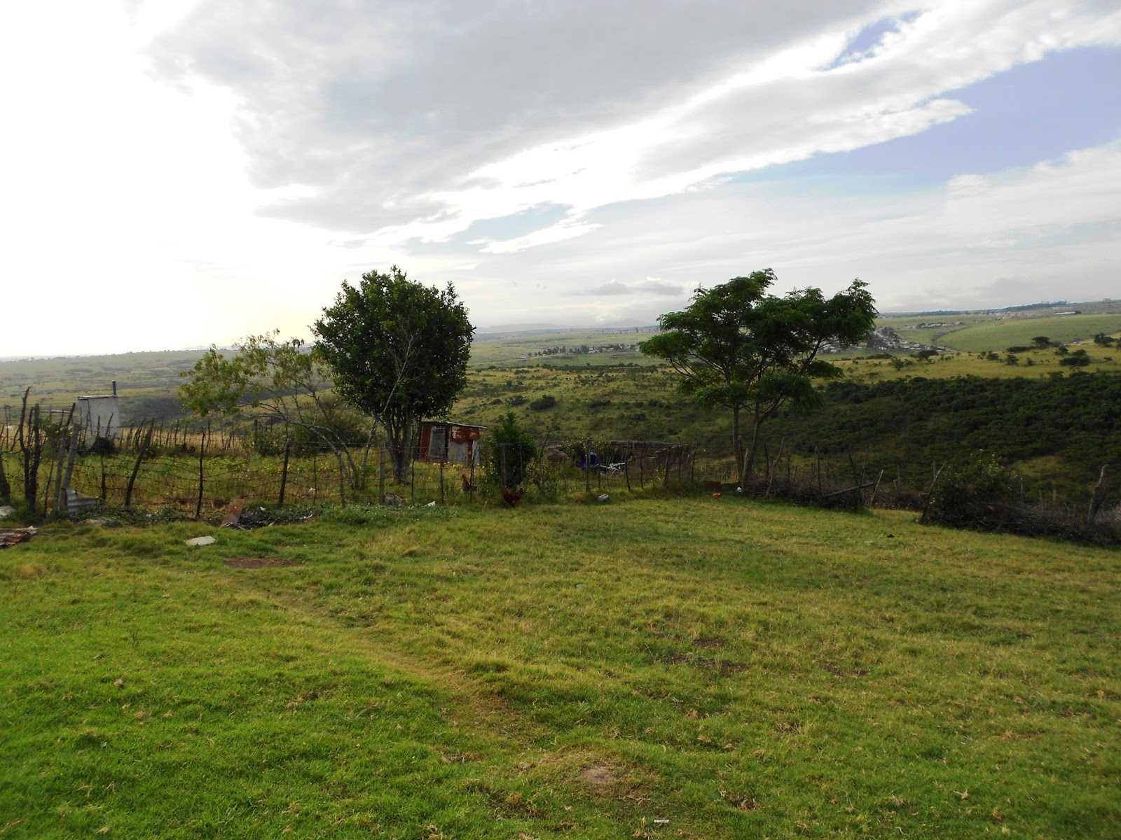 Megan's Great African Adventure: Tshabo: Rural Village Homestay