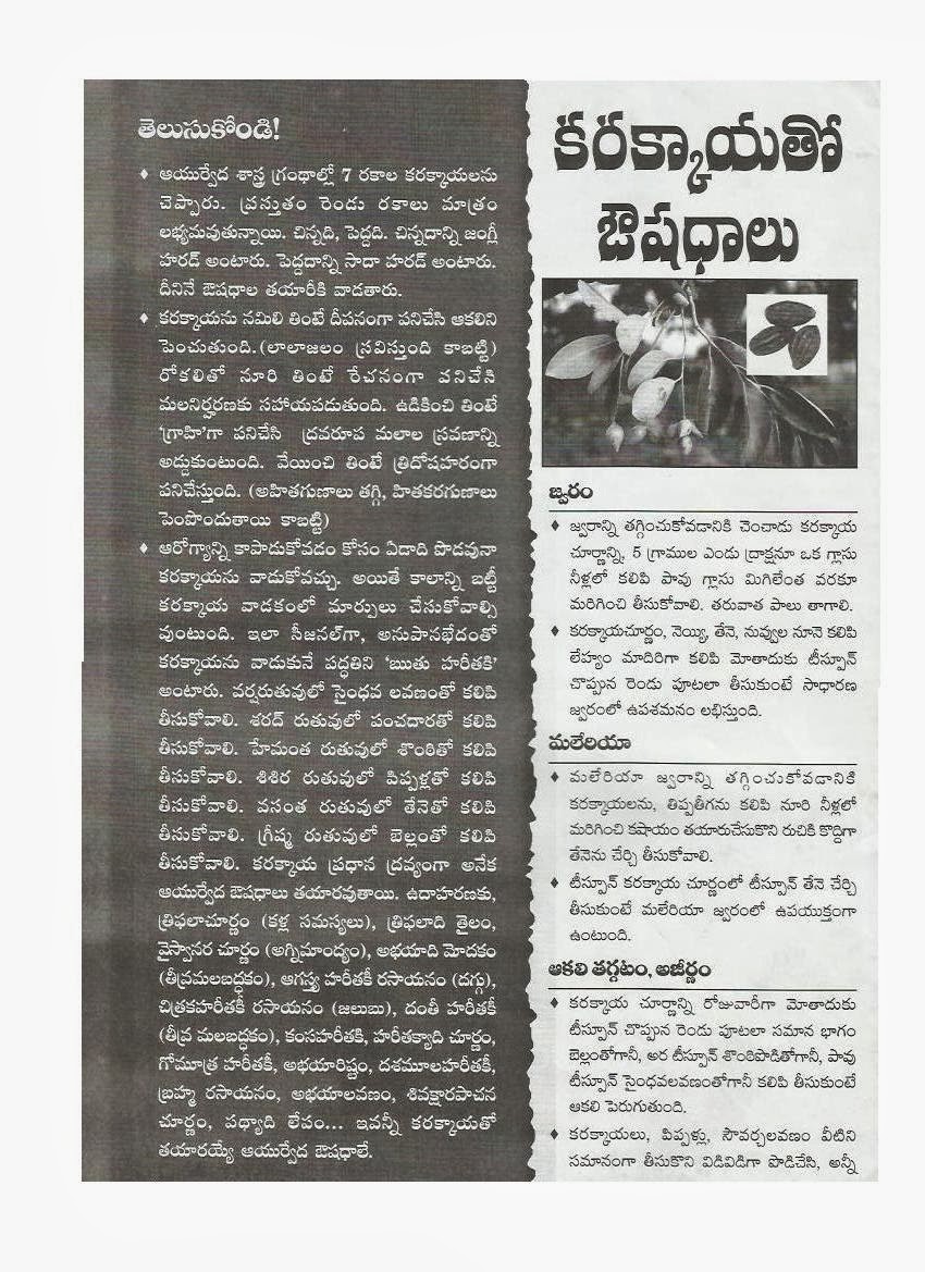 AYURVEDAM - ఆయుర్వేదం: కరక్కాయ - ఆయుర్వేదం / KARAKKAYA / HARITAKI ...