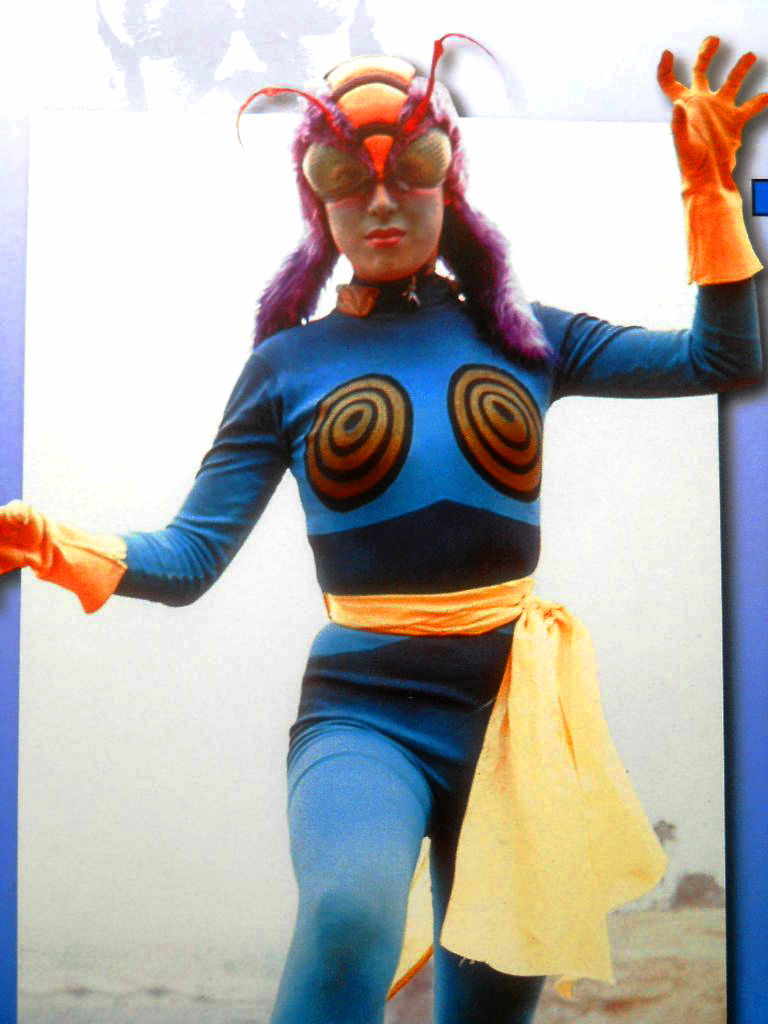 She's Fantastic: Kamen Rider - BEE WOMAN (HACHI ONNA)!