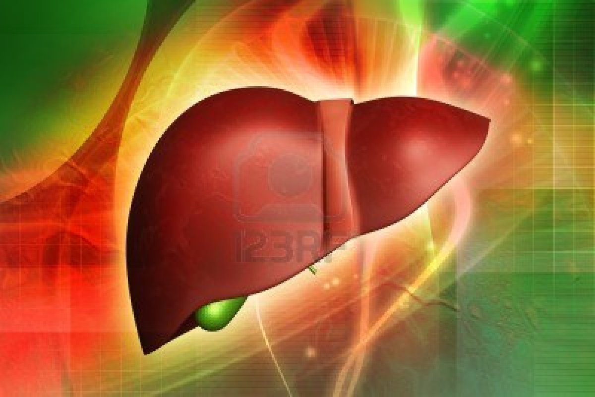 Better tests for liver toxicity would mean more medicines -- and safer ...